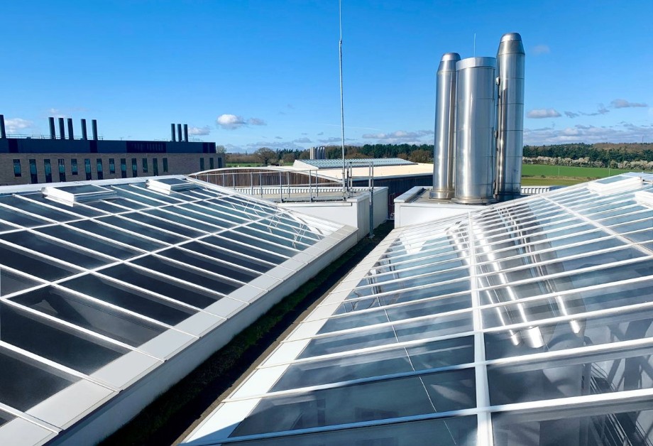 Specialty Window Films | Avery Dennison | Graphics